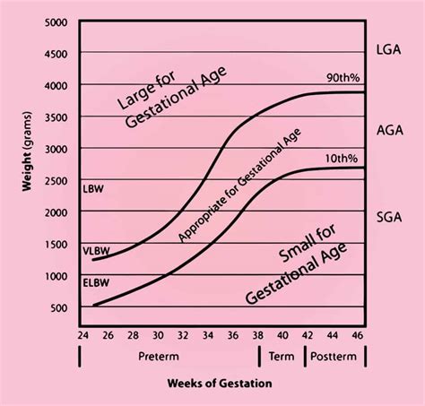 Understanding And Calculating Gestational Age CK Birla Hospital