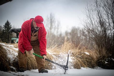 Best Axe For Cutting Tree Roots 2023 Top Products Reviewed