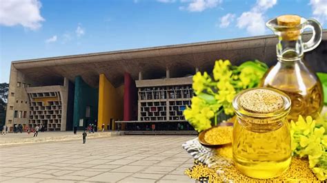 Mustard Oil Adulteration Court Orders Fssai Probe Foodmanifest