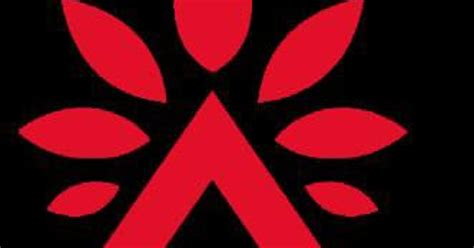 Overbite Celebrities Pakistan About Me