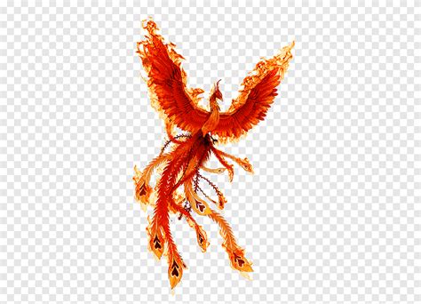 피닉스 봉황 그림 피닉스 전설적인 생물 사진술 Png Pngegg