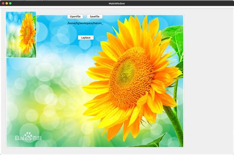 Qt窗口中显示halcon的图像qt 显示halcon图片 Csdn博客
