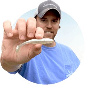 How To Easily Catch Pinfish In A Pinfish Trap