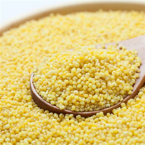 Buy Organic Kodo Millet Online Kodo Millet 500 G