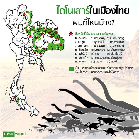 รวม ไดโนเสาร์ ที่พบในประเทศไทย มิตรเอิร์ธ Mitrearth