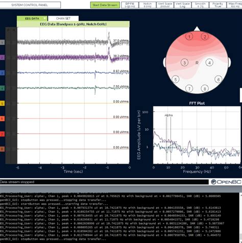 OpenBCI And MyoWare Robot Control Mbed