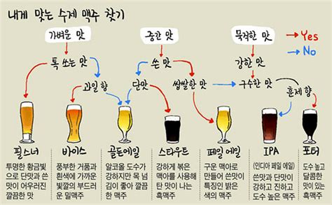 유럽에서는 맥주 와인을 물처럼 마신다