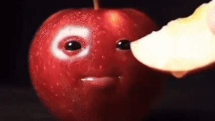 Niche Fruit Funny Fruit  Niche Fruit Fruit Niche Discover And Share S
