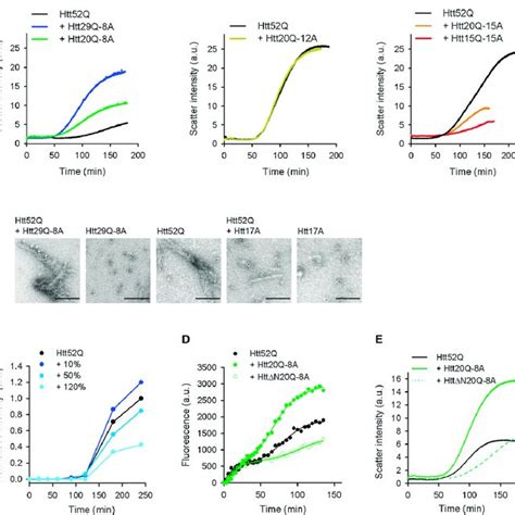 Frameshifted Httqa Proteins Modulate The Aggregation Of Mutant Htt Download Scientific Diagram