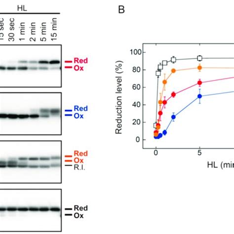 the in vivo redox responses of trx targeted proteins in arabidopsis