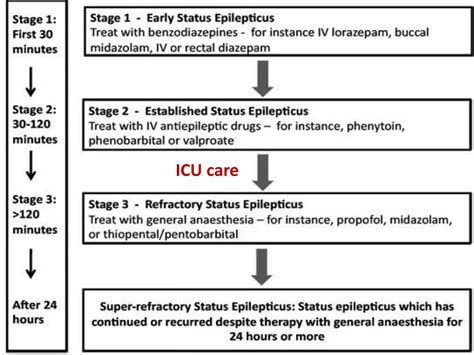 Pediatric Status Epilepticus PPTX
