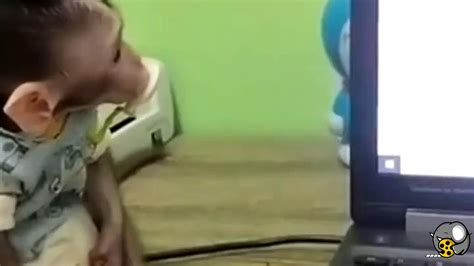 میمون کنجکاو داره فیلم و کامپیوتر نگاه میکنه فیلو