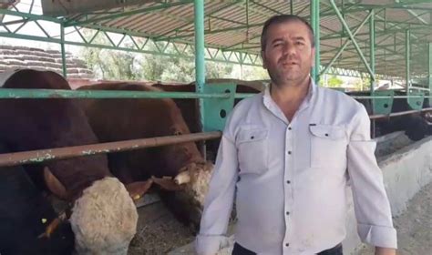 Çorumun Alaca Ilçesinde Duman Adı Verilen 1 Buçuk Tonluk K Ekonomi Kamu Haber