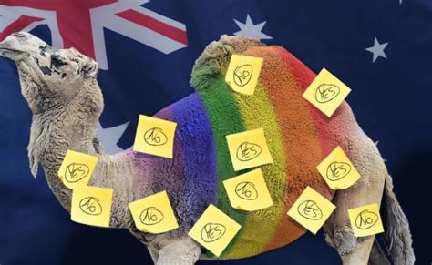 Same Sex Vote Fail A Big Risk The West Australian