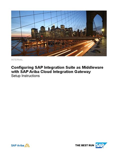 Sap Ariba Cloud Integration Gateway Middleware Config Pdf