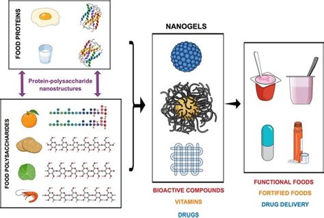 Food Nutraceuticals Nanoencapsulation Drugdelivery Alex Alvino