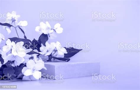 재스민과 매우 페리 배경에 화장품및 다양한 제품을 표시하기위한 삼각형 연단 클로즈업 추상적인에 대한 스톡 사진 및 기타 이미지 추상적인 피부 관리 0명 Istock