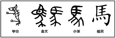 漢字の起源と成り立ち 「甲骨文字の秘密」 12月 2013