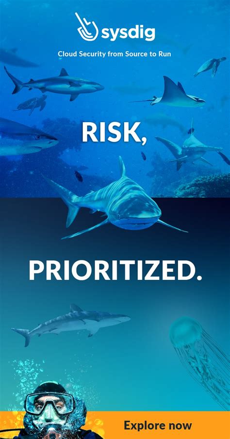 Sysdig On Linkedin In The Cloud It Can Feel Like Youre Less In Control Of Security Risk