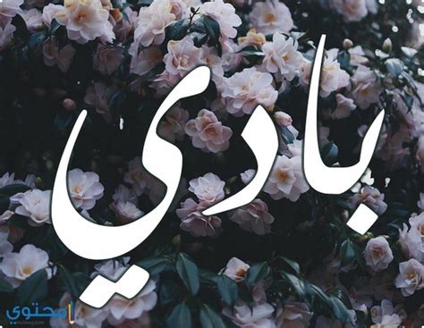 اسماء اولاد بحرف الباء ب 2021