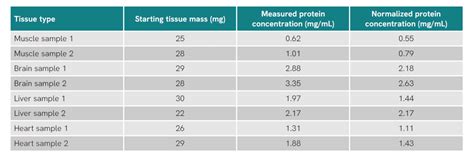 Rapid Protein Extraction From Tissues With The Bead Ruptor 4 Mini Bead