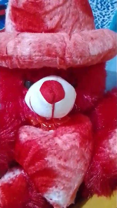 Teddy Shorts Youtube