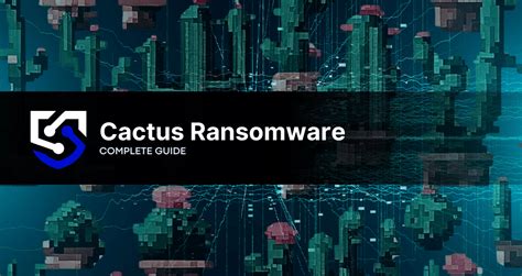 Cactus Ransomware What You Need To Know Proven Data