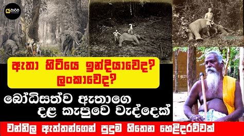 බෝධි සත්ව ඇතාගෙ දළ කැපූ වැද්ද වන්නිල ඇත්තන්ගෙන් ඉතිහාසය කණපිට හරවන