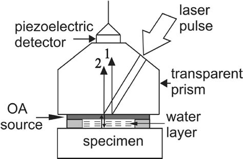 Transducer Block Diagram At Evelyn Saltsman Blog