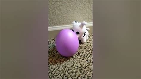 Open Adopt Me Plushies With Me Youtube