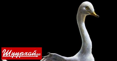 Газар уснаа явагч динозаврын чулуужсан ясыг Монголоос хууль бусаар гаргасан гэж үзэж байна