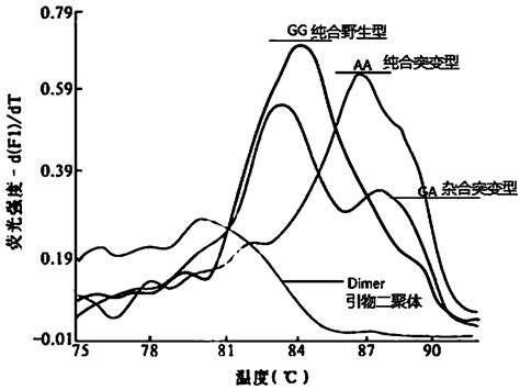 Detection Kit And Method For Polymorphism Of Aldh2 Gene Rs671 Eureka Patsnap