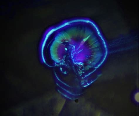 Indrajith M Posted On Linkedin