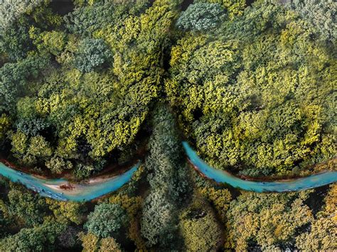 Deep Penetration Of The Forest Porn Pic Eporner