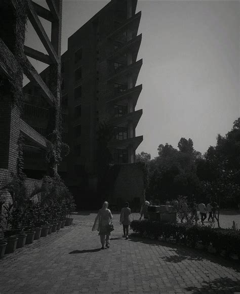 lohith duba on linkedin lpu lpuuniversity