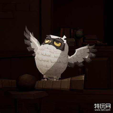 《哈利波特魔法觉醒》12月转盘时装爆料 与鸮同栖时装一览特玩网