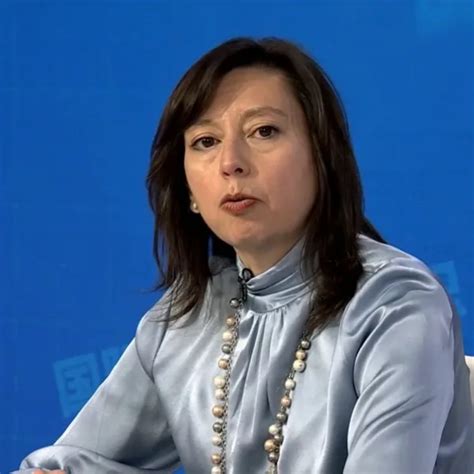 El Fmi Dijo Que Las Negociaciones Con Argentina Están “muy Avanzadas