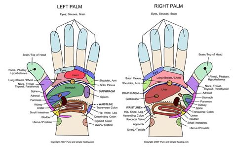 Know Your Hand Pressure Point Hand Reflexology Chart