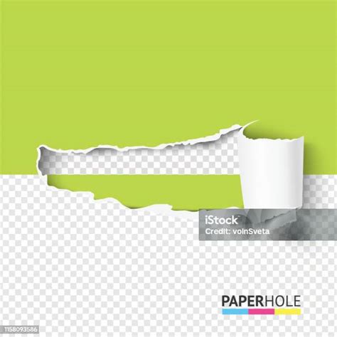 공개 메시지 개념으로 투명에 스크롤 찢어진 조각 절반 빈 종이 구멍 벡터 배너 잘려지거나 찢어진 종이에 대한 스톡 벡터 아트 및