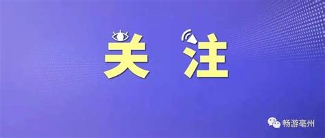 出口增势强劲！亳州中医药在海外市场展现新活力中药城安徽中药材
