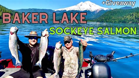 Baker Lake Sockeye Opening Day July 6th 2024 Youtube
