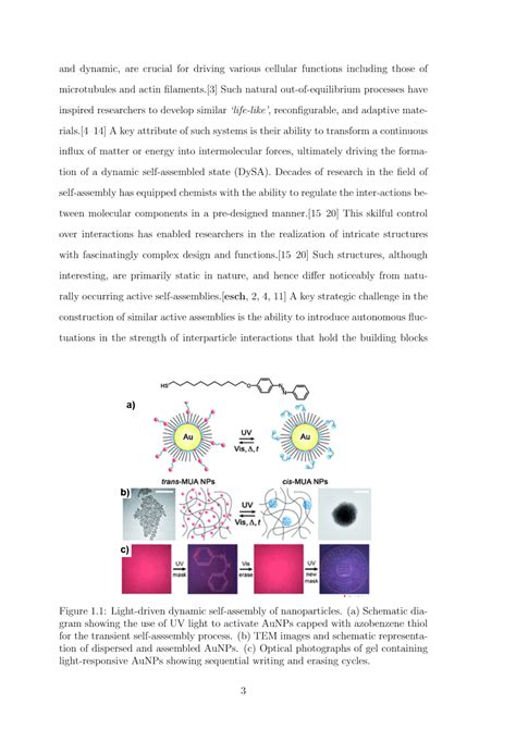 Graphics Overleaf Image Compilation Differences Between The Built In And Downloaded Pdf