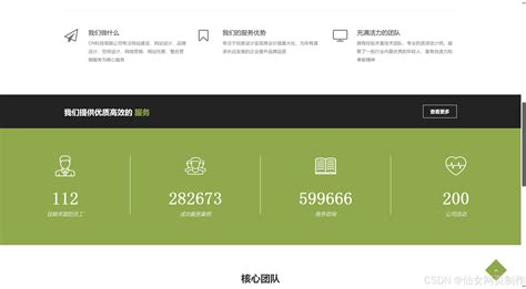 20 web前端网页案例——【互联网服务科技公司响应式自适应网页 （ 8页）】 大学生期末大作业 html css js 国内 响应式web