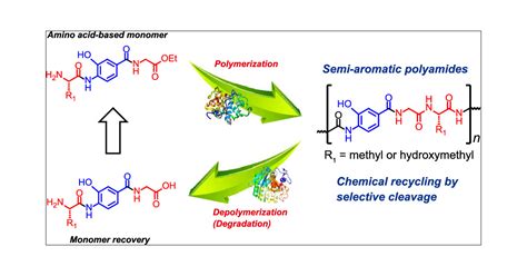 Chemoenzymatic Polymerization Depolymerization Of Semiaromatic Polyamides For Chemical Recycling