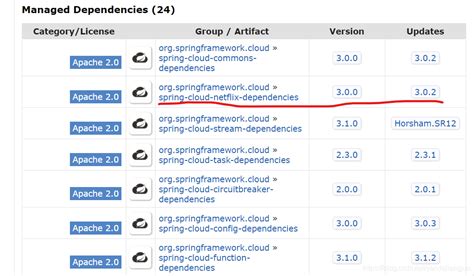 java lang noclassdeffounderror org springframework boot bootstrapper，debug org springframework