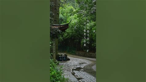 红尘问路不问心 Youtube