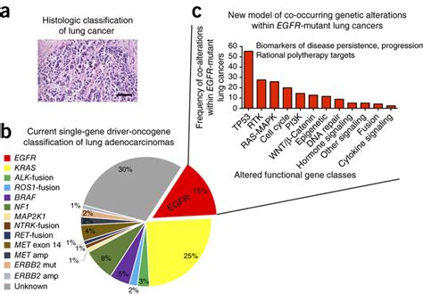 Evolution Of The Understanding Of The Genetic Pathogenesis Of Download Scientific Diagram