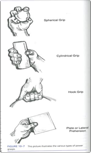 Grasp Patterns Upper Extremities