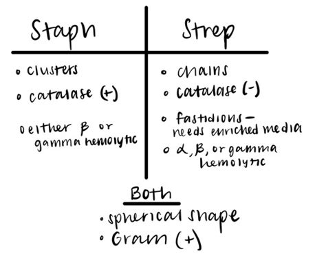Streptococci Flashcards Quizlet