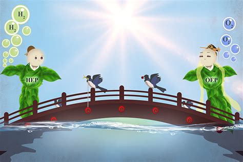 Wide Visible Light Responsive Photocatalyst Boosts Solar Water Splitting Mirage News